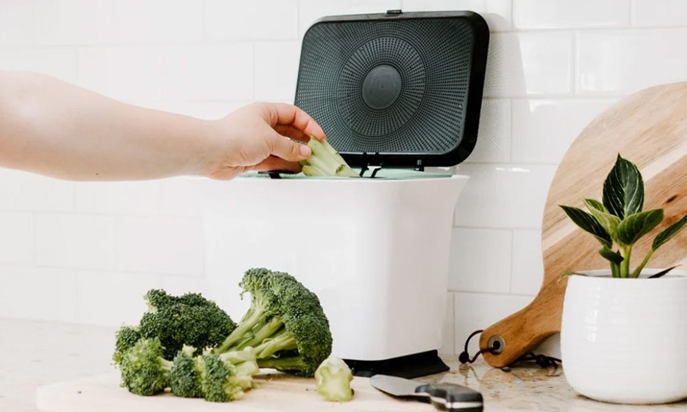 Full Circle Home Composting - Eddingtons